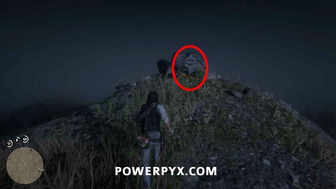 Red Dead Redemption 2 All Grave Locations Guide
