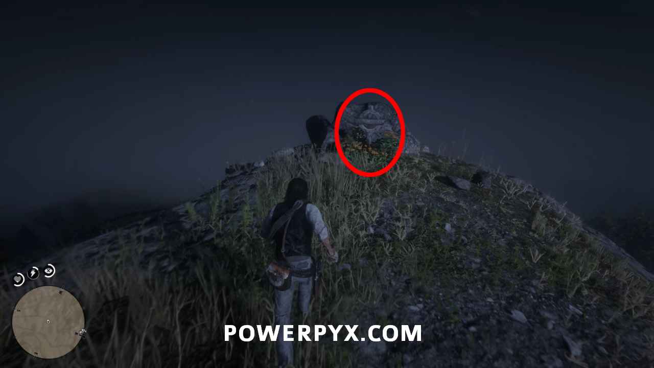 Red Dead Redemption 2 All Grave Locations Guide